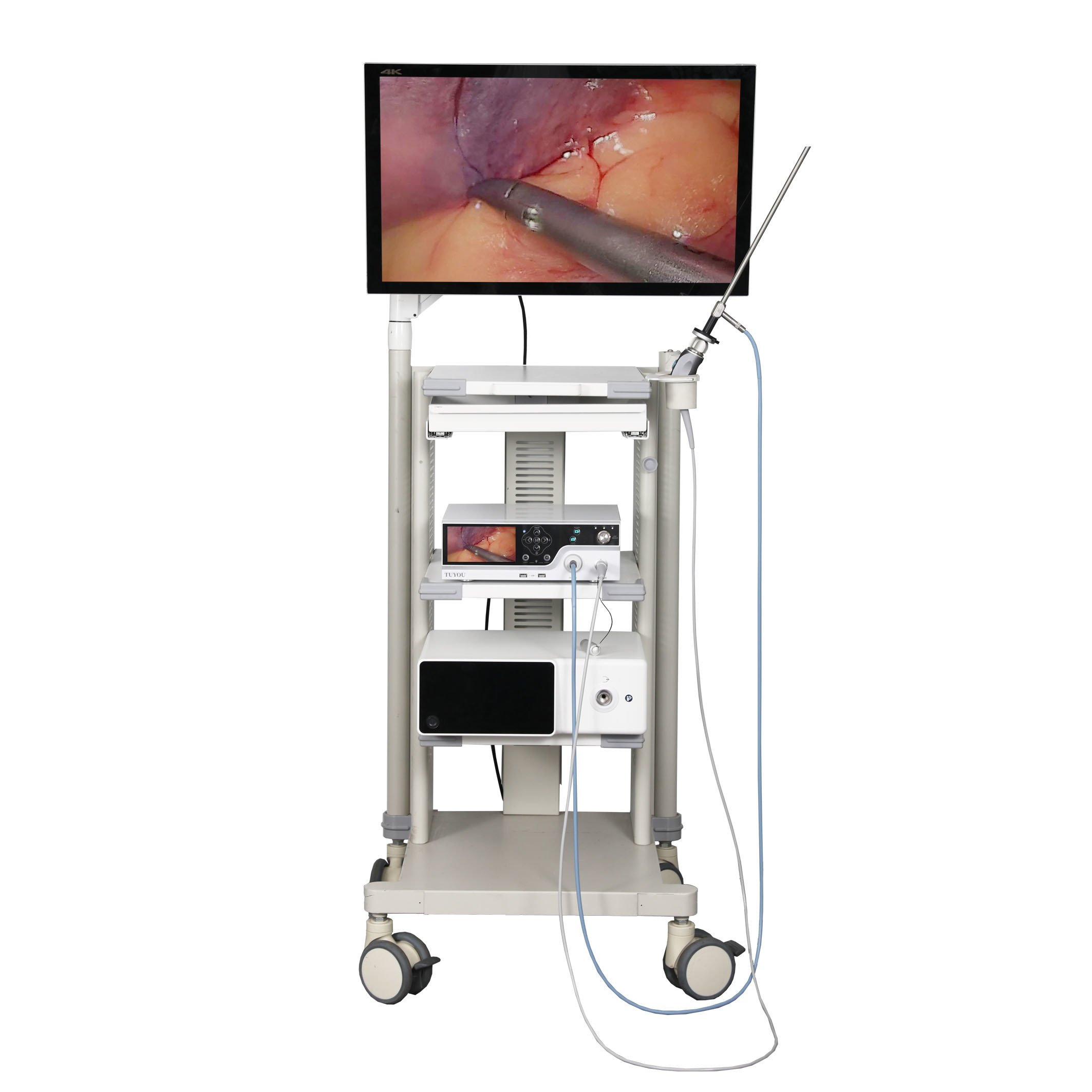 TUYOU FULL Hd Medical Endoscope Camera System With 1080P Resolution For ...