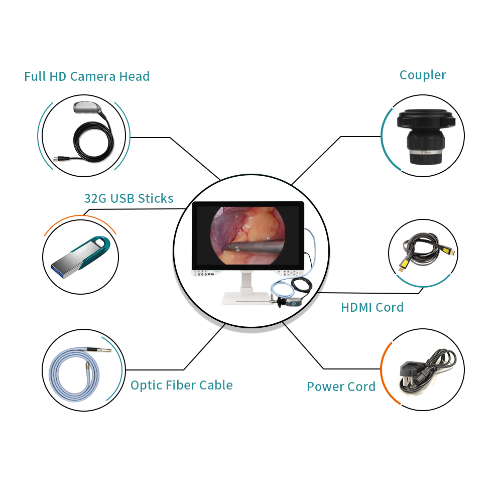 TUYOU TU-32LSD1A 4K 32-inch Medical Endoscopy Camera with SONY CMOS ...